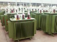China 80kVA 10kV Oil Immersed Distribution Transformer S(B)22-NX1 Energy Efficiency Level 1 with 4% Impedance for sale