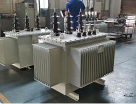 China 100kVA 20kV Oil-immersed Distribution Transformer S(B)22-NX1 Energy Efficiency Level 1 for sale