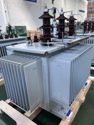 China IEC Standard 100 kVA Oil Immersed Distribution Transformer S(B)22-NX1 Energy Efficiency Level 1 for sale