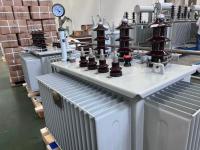 China 20kV Oil-immersed Distribution Transformer S(B)20-NX2 30-2500kVA Energy Efficiency Level 2 for sale