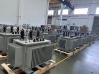China 63kVA 20kV Oil-immersed Distribution Transformer S(B)22-NX1 Energy Efficiency Level 1 for sale