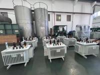 China 250 kVA Oil Immersed Distribution Transformer 20kV S(B)22-NX1 Energy Efficiency Level 1 for sale