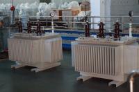 China 10kV Oil Immersed Distribution Transformer S(B)20-NX2 Energy Efficiency Level 2 - 30-2500 kVA Capacity Range for sale