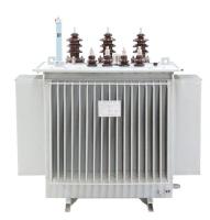 China 250kVA 10kV Oil-immersed Distribution Transformer S(B)22-NX1 Energy Efficiency Level 1 for sale