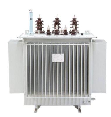 China 250kVA 10kV Oil-immersed Distribution Transformer S(B)22-NX1 Energy Efficiency Level 1 for sale