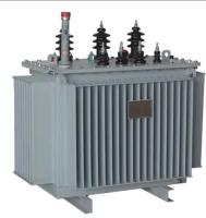 China 10kV Oil Immersed Distribution Transformer S(B)20-NX2 Energy Efficiency Level 2 - 30-2500 kVA Capacity Range for sale