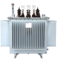 China 10kV Oil Immersed Distribution Transformer S(B)20-NX2 Energy Efficiency Level 2 - 30-2500 kVA Capacity Range for sale