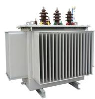 China 10kV Oil Immersed Distribution Transformer S(B)20-NX2 Energy Efficiency Level 2 - 30-2500 kVA Capacity Range for sale