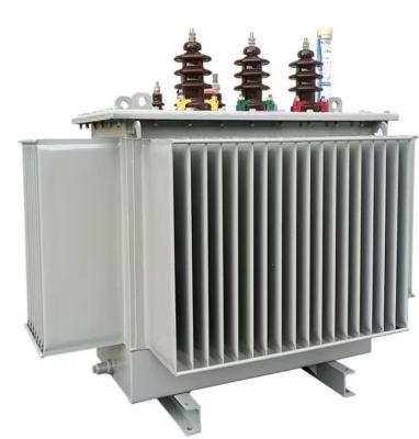China 10kV Oil Immersed Distribution Transformer S(B)20-NX2 Energy Efficiency Level 2 - 30-2500 kVA Capacity Range for sale