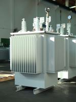 China 333kVA Oil-immersed Distribution Transformer 20kV Input ONAN Cooling Energy Efficient for sale