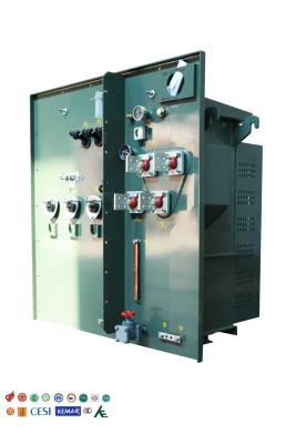 China ZGSL-Z-300kVA ANSI-Compliant Outdoor Pedestal-Type Transformer for Power Supply Distribution for sale