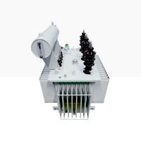 China 100kVA/20kV Oil Immersed Distribution Transformer Designed for  for Factories, Mines, Oilfields for sale