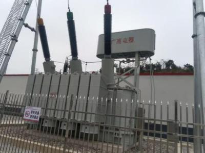China 220kV 10MVA Capacity Oil Immersed Power Transformer IEC Standard for High Voltage Applications for sale