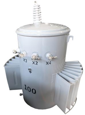 China 250kV Single-Phase Pole-Mounted Distribution Transformer with Multi-Voltage Output and ONAN Cooling for sale