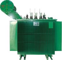 China 10kV Oil Immersed Distribution Transformer with Energy Efficiency Level 1, Silicon Steel Core, and ONAN Cooling for sale