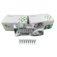 China High Sensitivity RNA Amplification Kit Lyophilized Diagnostic Test Kit Convenient Accurate for sale