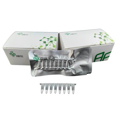 China High Sensitivity RNA Amplification Kit Lyophilized Diagnostic Test Kit Convenient Accurate for sale