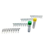 China Amp Future Isothermal Amplification Kit RNA Detection Freeze Dried High Specificity for sale