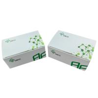 China Room Temperature DNA Amplification Kit For Isothermal Nucleic Acid for sale