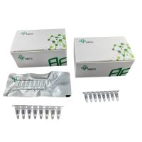 China High Performance DNA Isothermal PCR Amplification Kit For Accurate PCR Results for sale