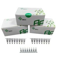 China 20mins High Sensitivity Isothermal DNA Amplification Kit For Accurate Detection for sale