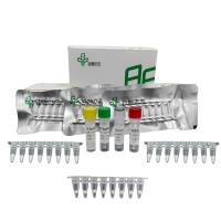 China Highly Sensitive Isothermal RNA Amplification Kit With Fast Reaction Time for sale
