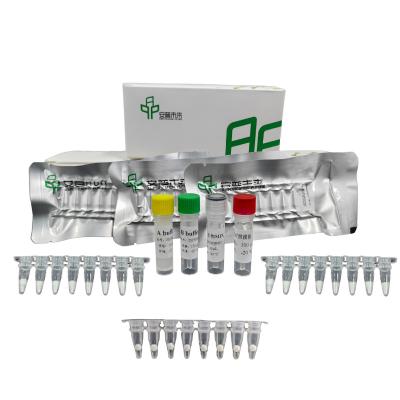 China Highly Sensitive Isothermal RNA Amplification Kit With Fast Reaction Time for sale