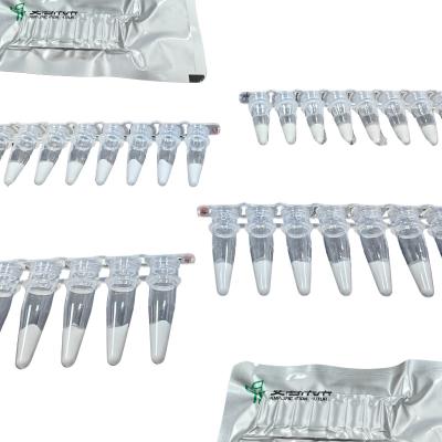 China One Step Isothermal Basic RNA Amplification Kit For High Throughput RNA Analysis for sale