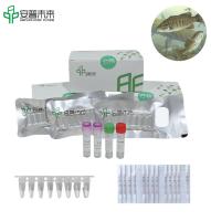 China Overall solution for thermostatic detection of largemouth bass rhabdovirus for sale