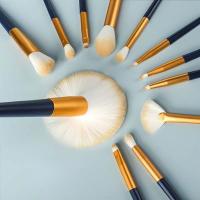 China Wood Handle Makeup Brush Set 12 Pieces Concealer Blush Brow Lip Eye Shadow Brushes for sale
