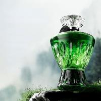 China C2U Green Aquarius Perfume 75ml Floral Eau de Toilette for Women Long Lasting Fresh Scent for sale