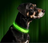 China LED Dog Collar USB Rechargeable 2 Colors 3 Sizes for sale
