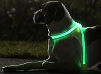China Nylon Flashing LED Dog Harness , Lighted Dog Harness With Rainproof Function for sale