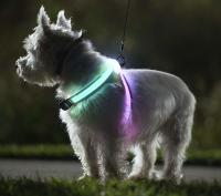 China Nylon Flashing LED Dog Harness , Lighted Dog Harness With Rainproof Function for sale