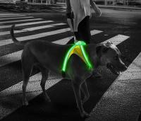 China Nylon Flashing LED Dog Harness , Lighted Dog Harness With Rainproof Function for sale