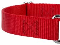 China Easy On Off Durable Nylon Buckle Dog Collars for sale