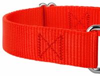 China 2 Layers Soft Nylon Dog Collar Comfortable Martingale Loop For Dog Walking for sale