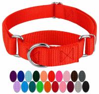 China 2 Layers Soft Nylon Dog Collar Comfortable Martingale Loop For Dog Walking for sale