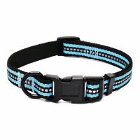 China Double Bands Soft Nylon Dog Collar High Durability for sale