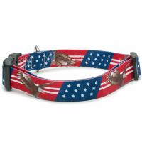 China All Seasons Polyester Dog Collar Buckle Type Customized American Flag Design for sale