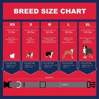 China Durable Soft Nylon Dog Collar Quick Release Plastic Buckle Heavy Duty Zinc Alloy D Ring for sale