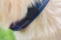 China Padded Reflective Soft Nylon Dog Collar With Adjustable Stainless Steel Hardware for sale
