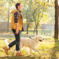 China Durable Retractable Dog Leash With Ergonomic Design Smooth Leash Retraction for sale