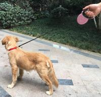 China 10 FT Retractable Dog Leash , Bling Smooth Retracting Extendable Dog Lead For All Breed for sale