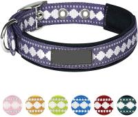 China Nice Design Durable 3M Reflective Polyester Webbing Dog Collar for sale