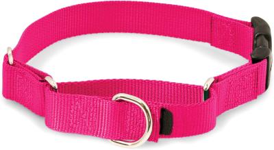 China Martingale Soft Nylon Dog Collar With Quick Snap Buckle for sale