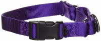 China Durable Soft Nylon Buckle Dog Collars , Purple Green Nylon Dog Collar Easy On Off for sale