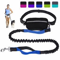 China Flexible Long Extendable Dog Lead Comfortable Hands Free With Dual Handles for sale