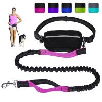 China Flexible Long Extendable Dog Lead Comfortable Hands Free With Dual Handles for sale