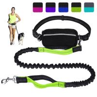 China Flexible Long Extendable Dog Lead Comfortable Hands Free With Dual Handles for sale